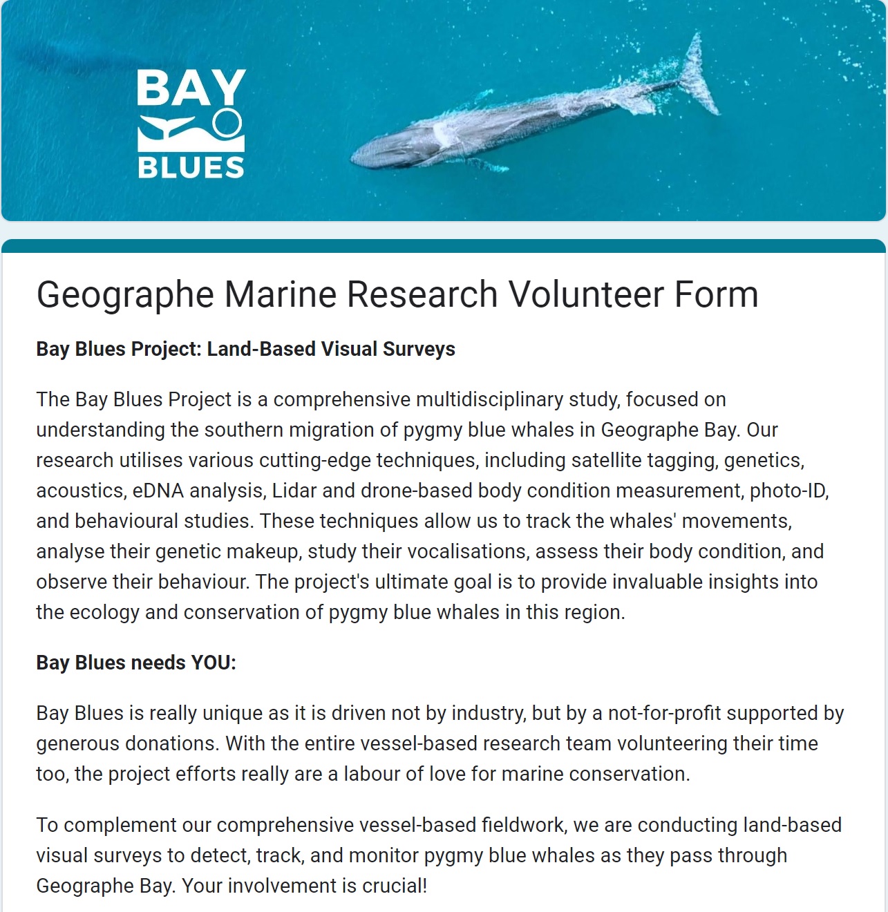 Volunteer for whale research! – Geographe Marine Research Ltd