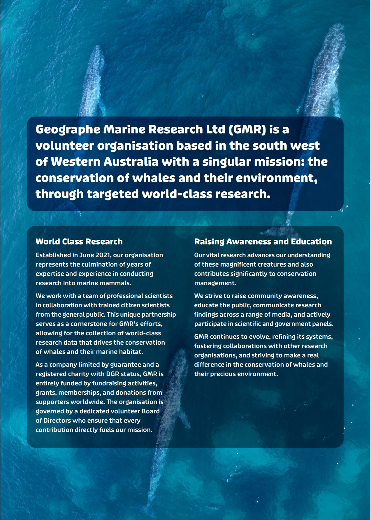 Support Bay Blues – Geographe Marine Research Ltd