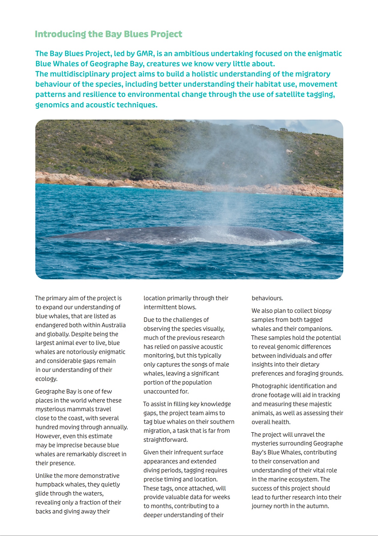 Support Bay Blues – Geographe Marine Research Ltd