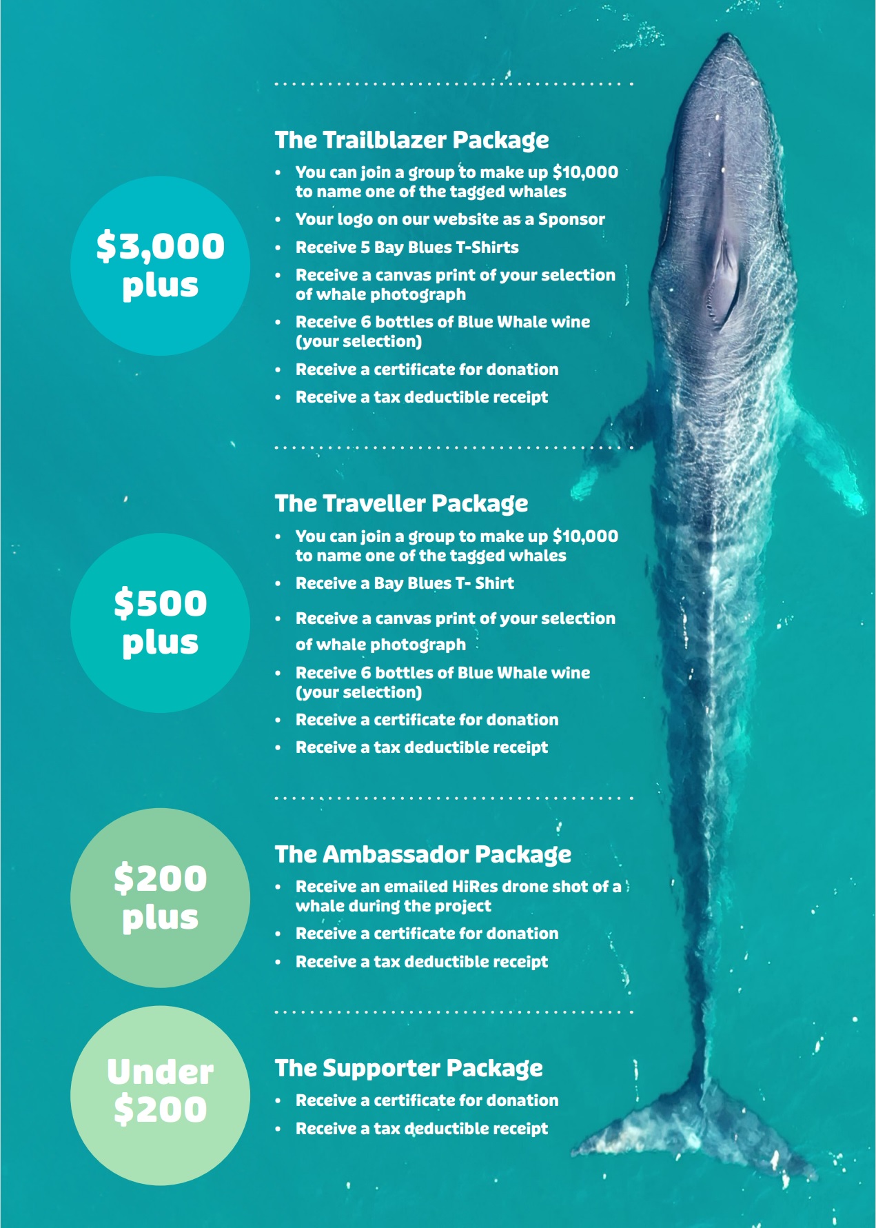 Support Bay Blues – Geographe Marine Research Ltd