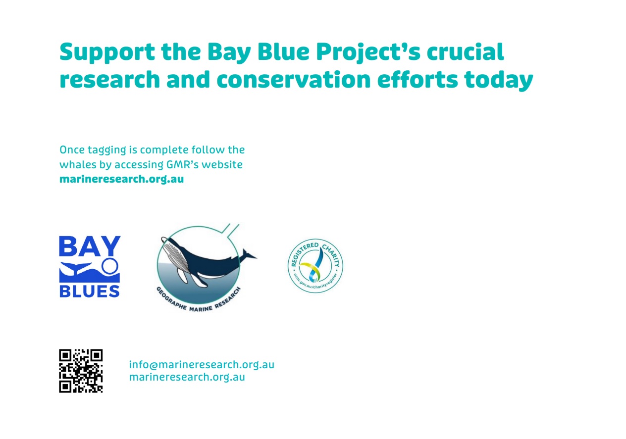 Support Bay Blues – Geographe Marine Research Ltd